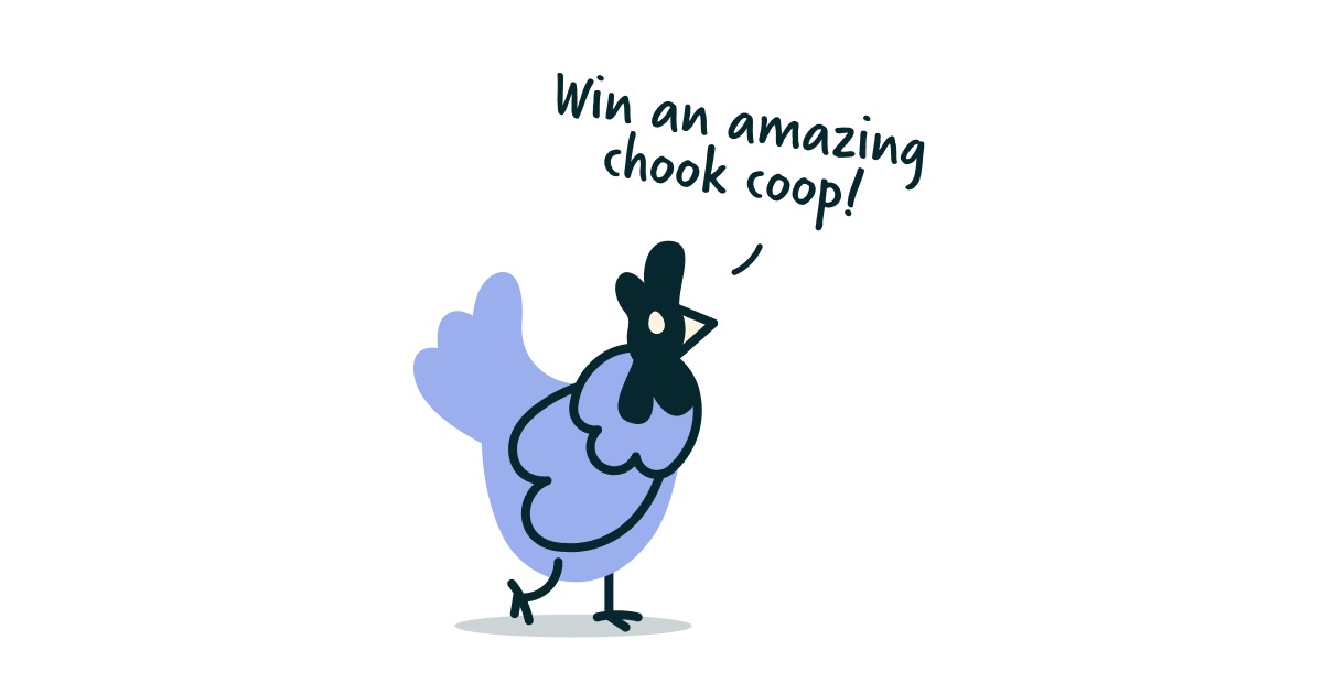 Chicken coop competition