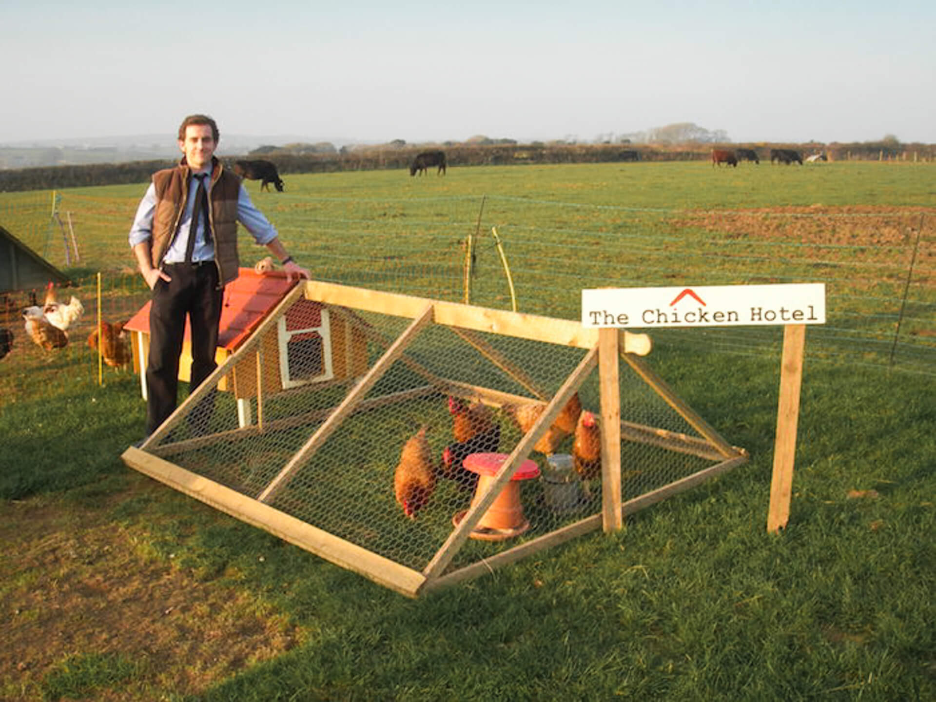 The story behind Betsy, the world’s first network of Chicken Hotels ...