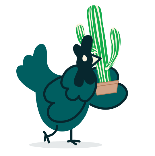 Betsy’s top 10 chicken names – Betsy
