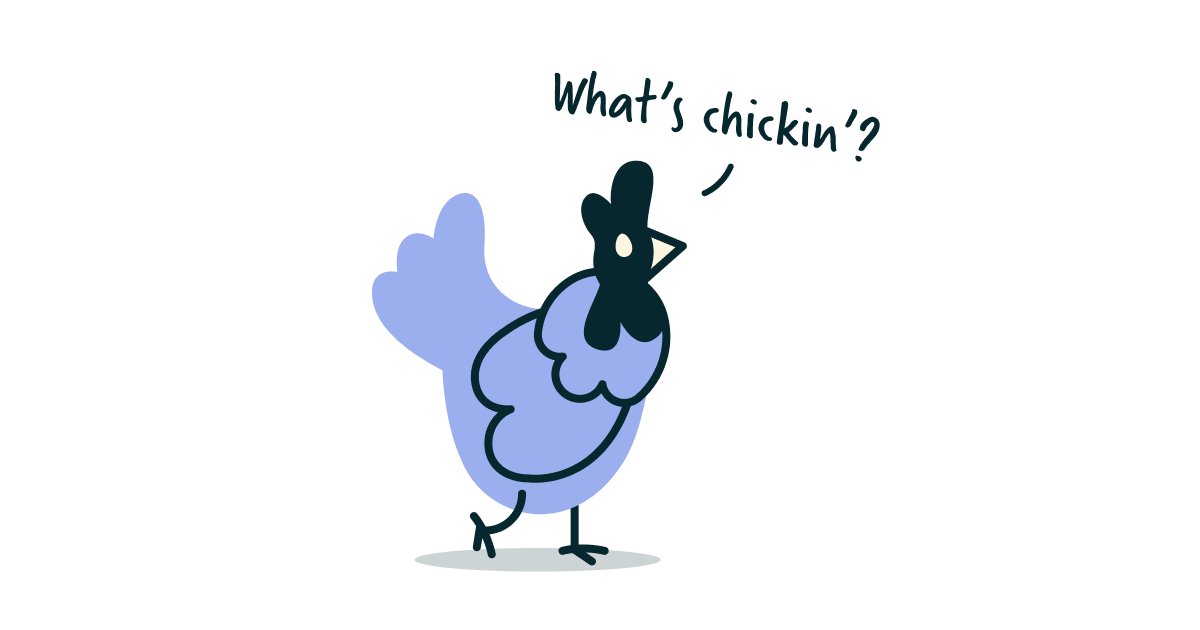 Chicken boarding FAQs - Betsy